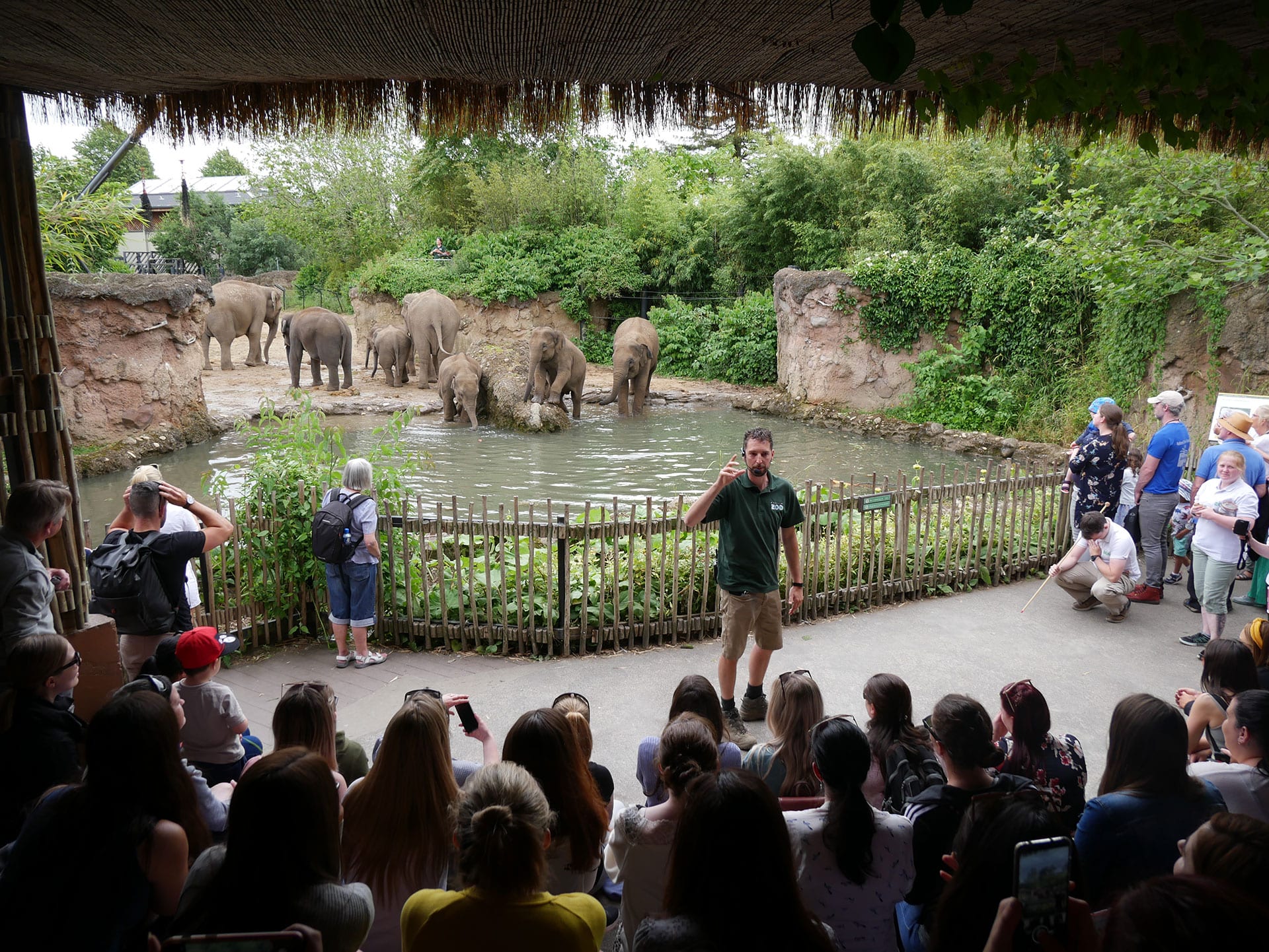 How to Become a Zookeeper - Dublin Zoo
