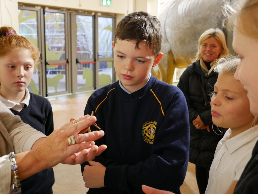 School Visits | Dublin Zoo
