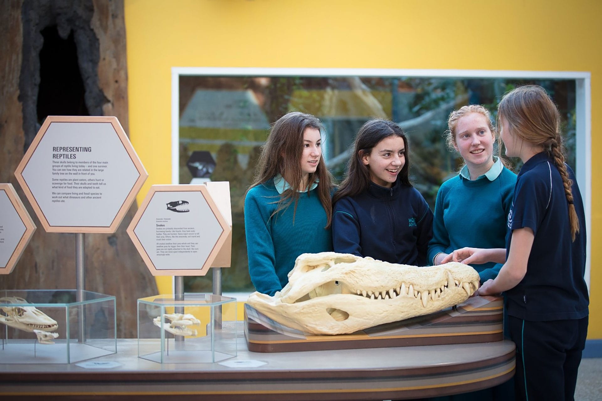 School Visits | Dublin Zoo