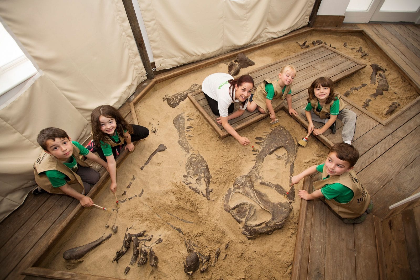 Education | Dublin Zoo