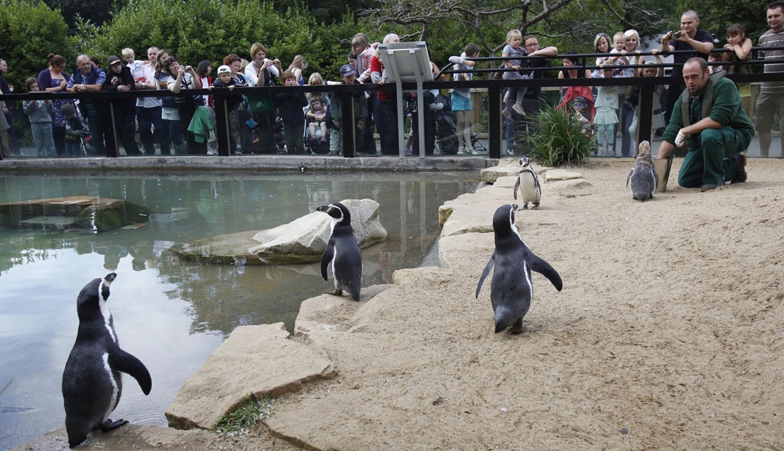 Annual Passes | Dublin Zoo