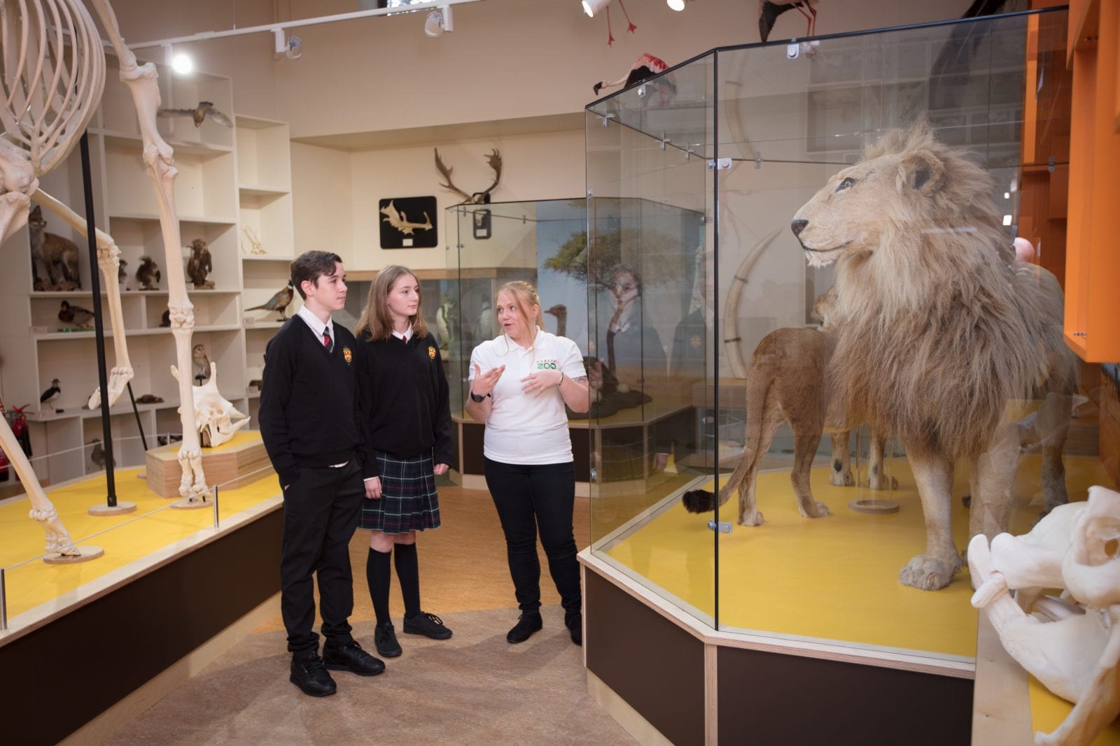 Education | Dublin Zoo