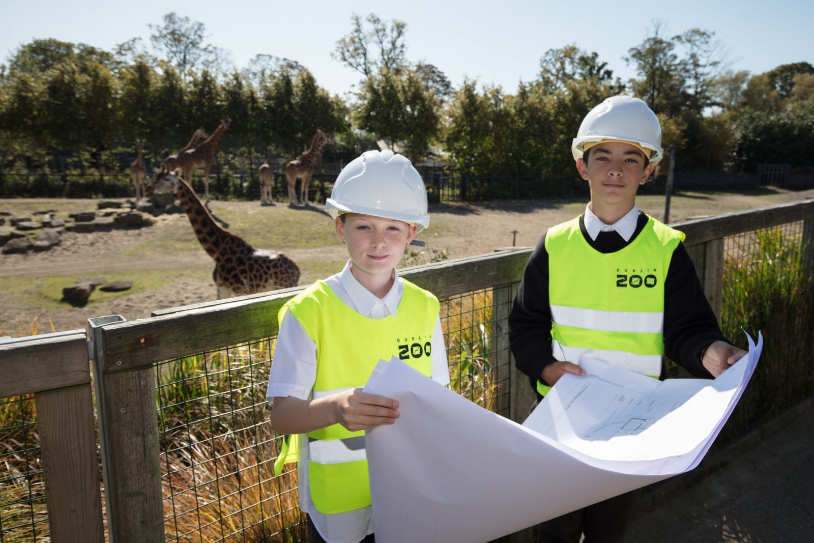 Engineers Week 2020 | The Giraffe Habitat Challenge - Dublin Zoo