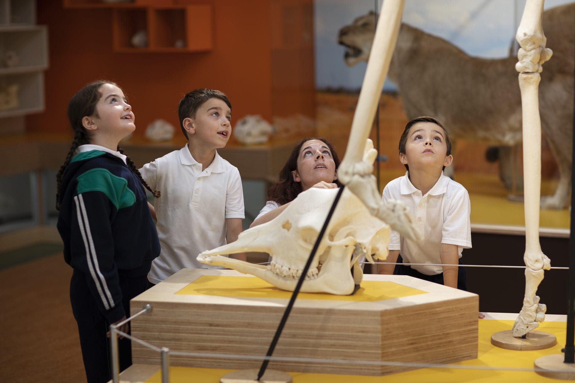 President of Ireland opens new Discovery and Learning Centre - Dublin Zoo