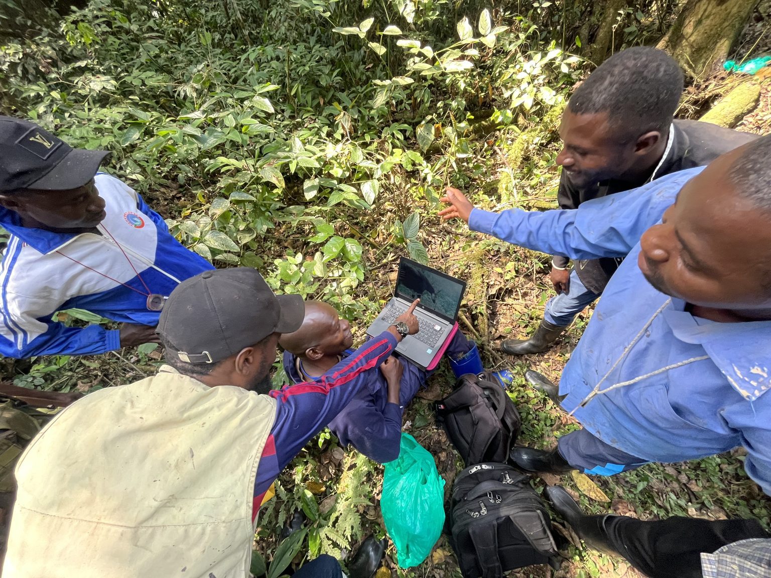 Dublin Zoo Support Okapi Conservation Project - See What You Can Do