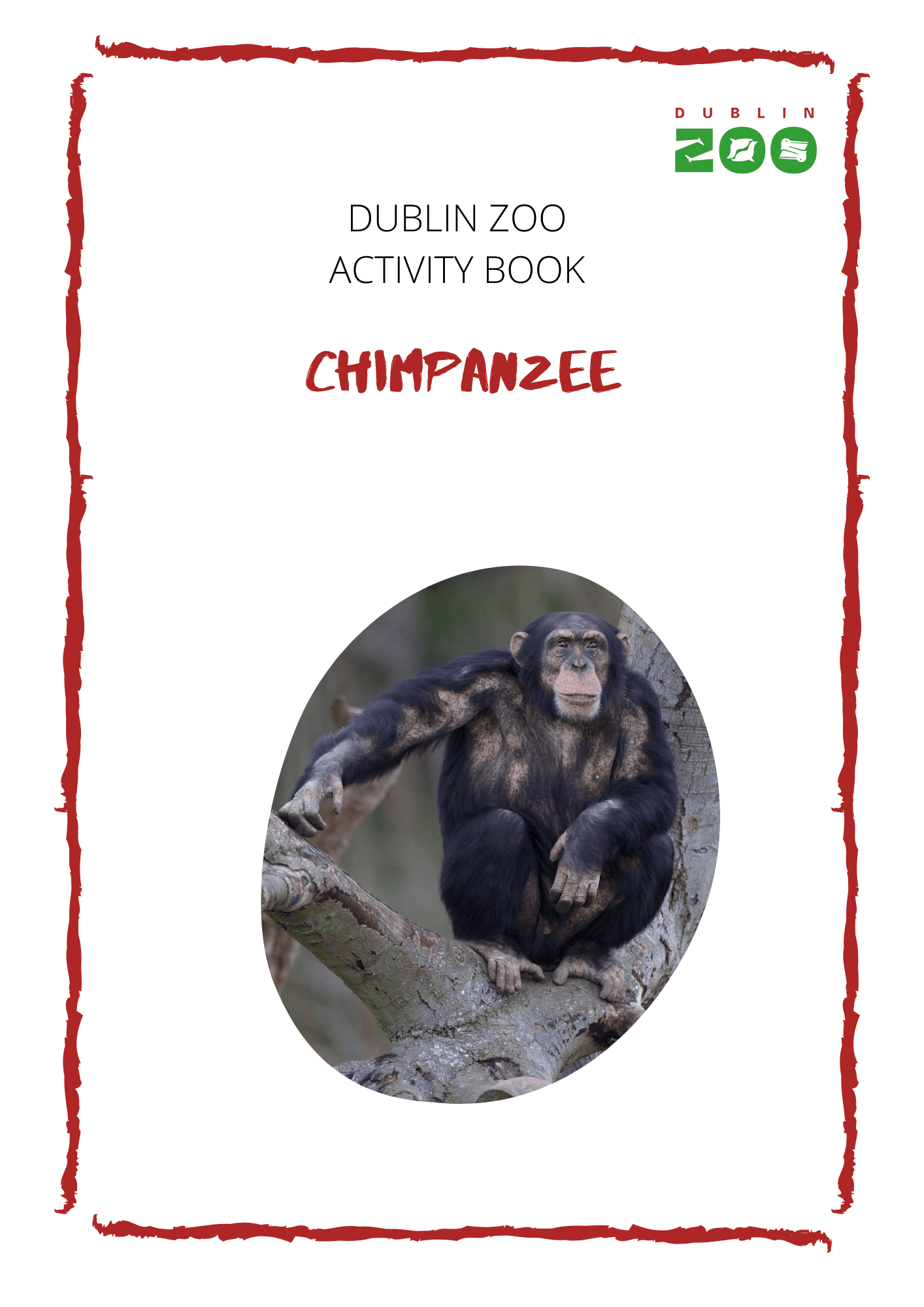 Activity Workbooks - Dublin Zoo