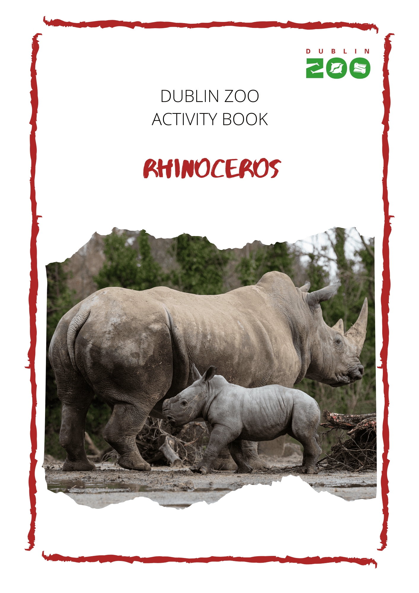 Activity Workbooks - Dublin Zoo