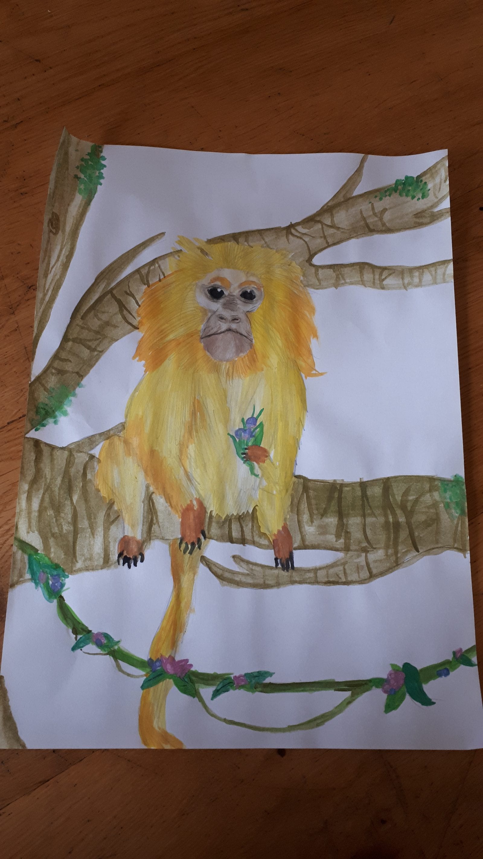 International Golden Lion Tamarin Day Art Competition - Dublin Zoo