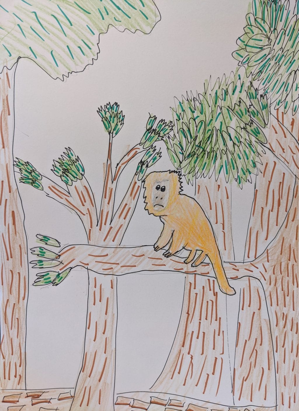 International Golden Lion Tamarin Day Art Competition - Dublin Zoo