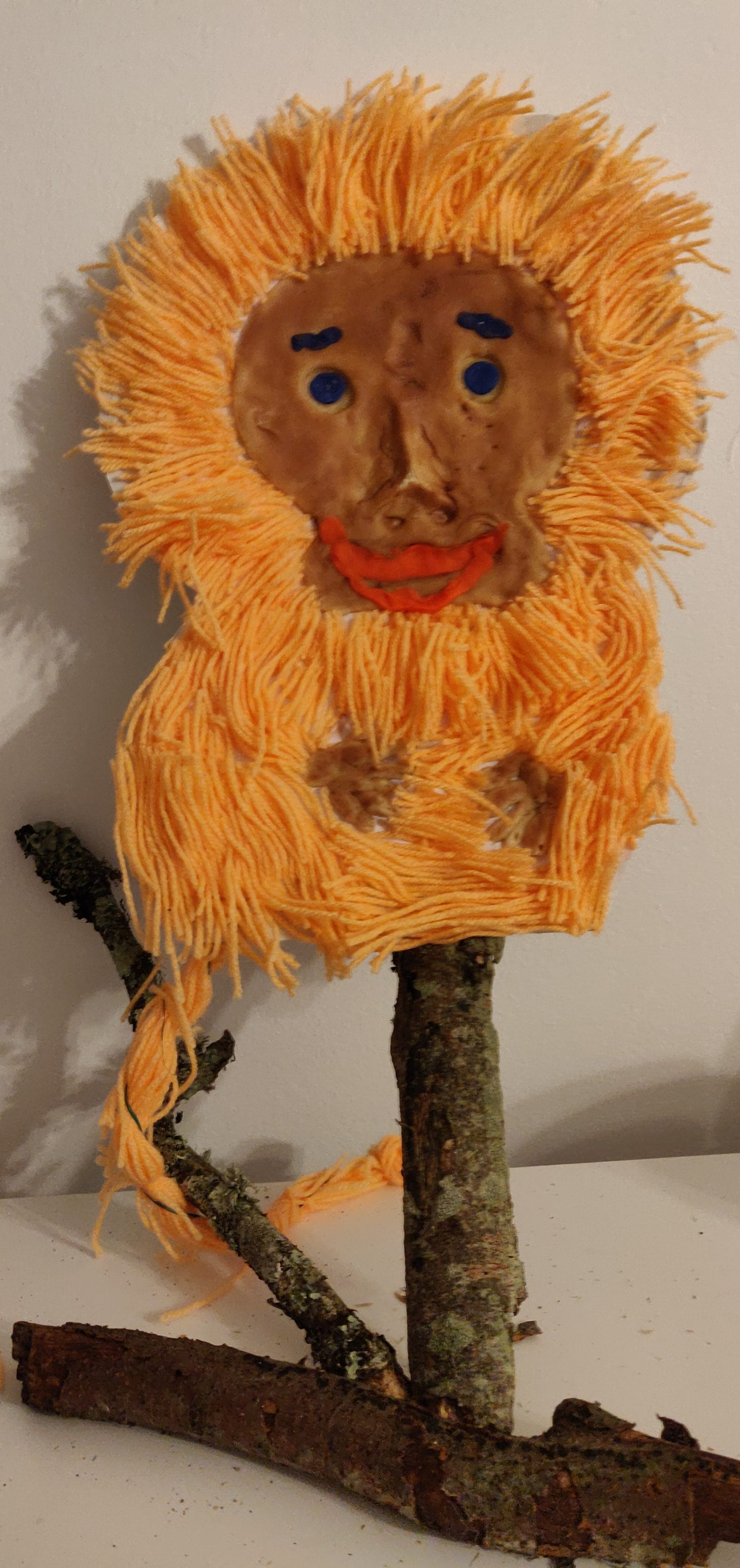 International Golden Lion Tamarin Day Art Competition - Dublin Zoo