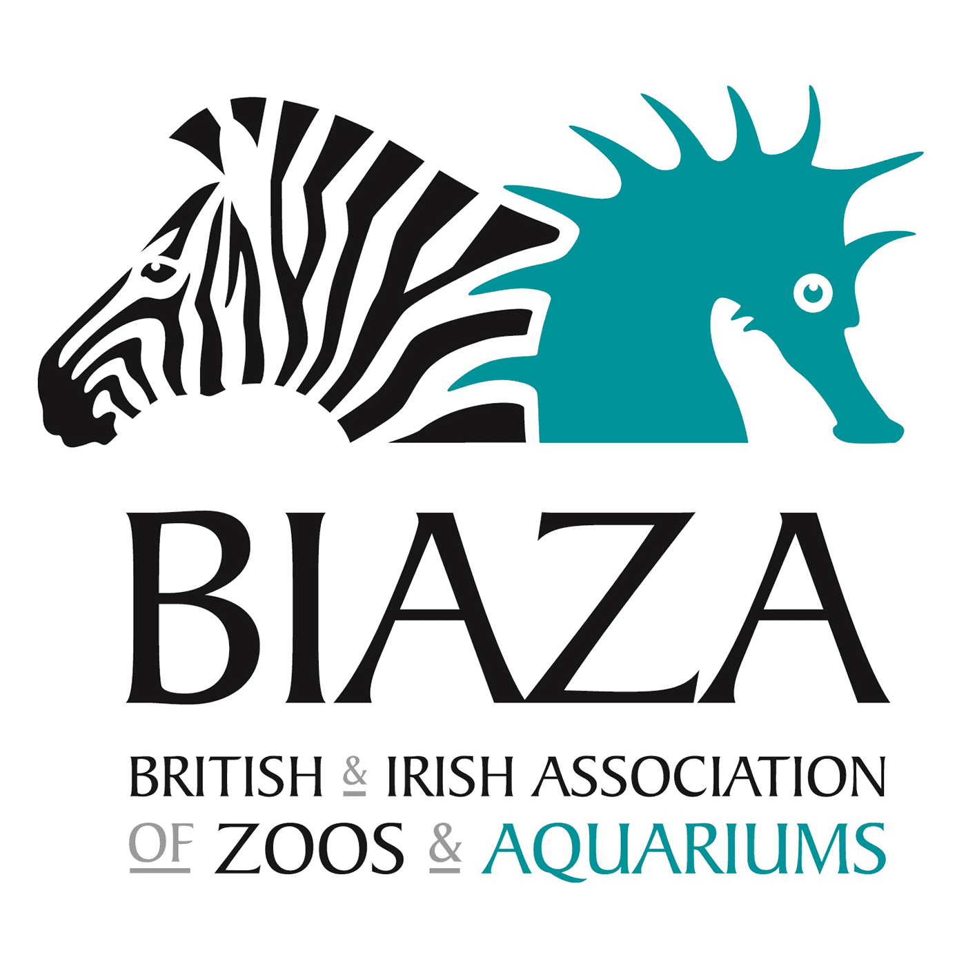 National STEM collaboration wins Biaza Gold Education Award - Dublin Zoo
