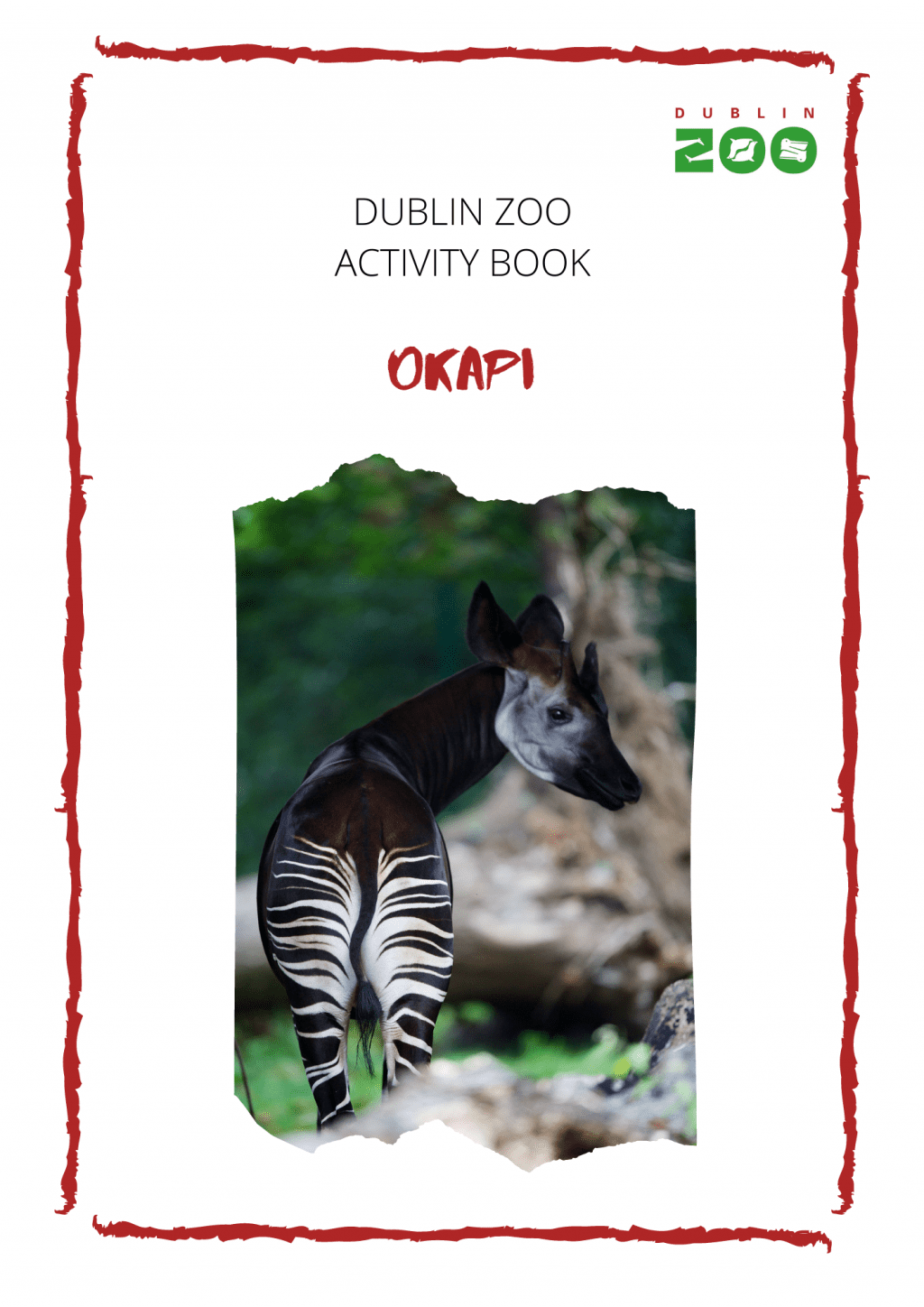 Activity Workbooks - Dublin Zoo