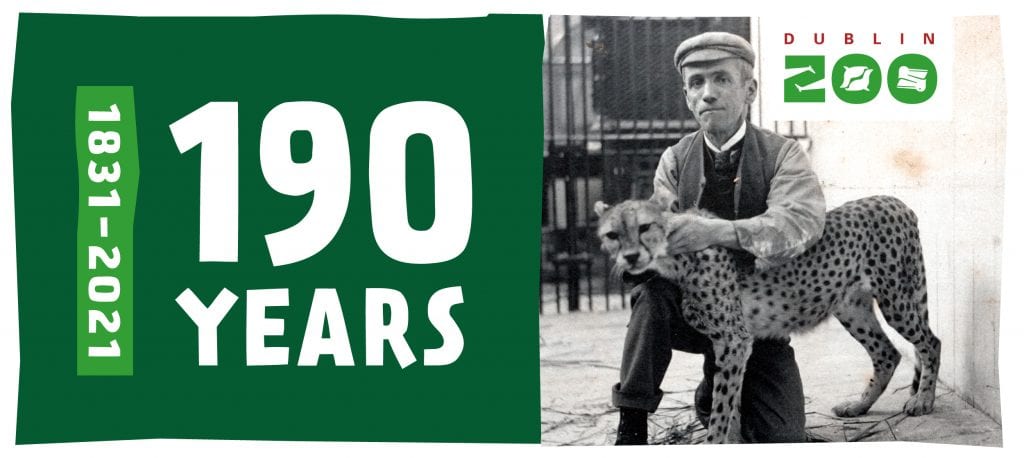 Dublin Zoo celebrates 190 years since first opening its doors - Dublin Zoo