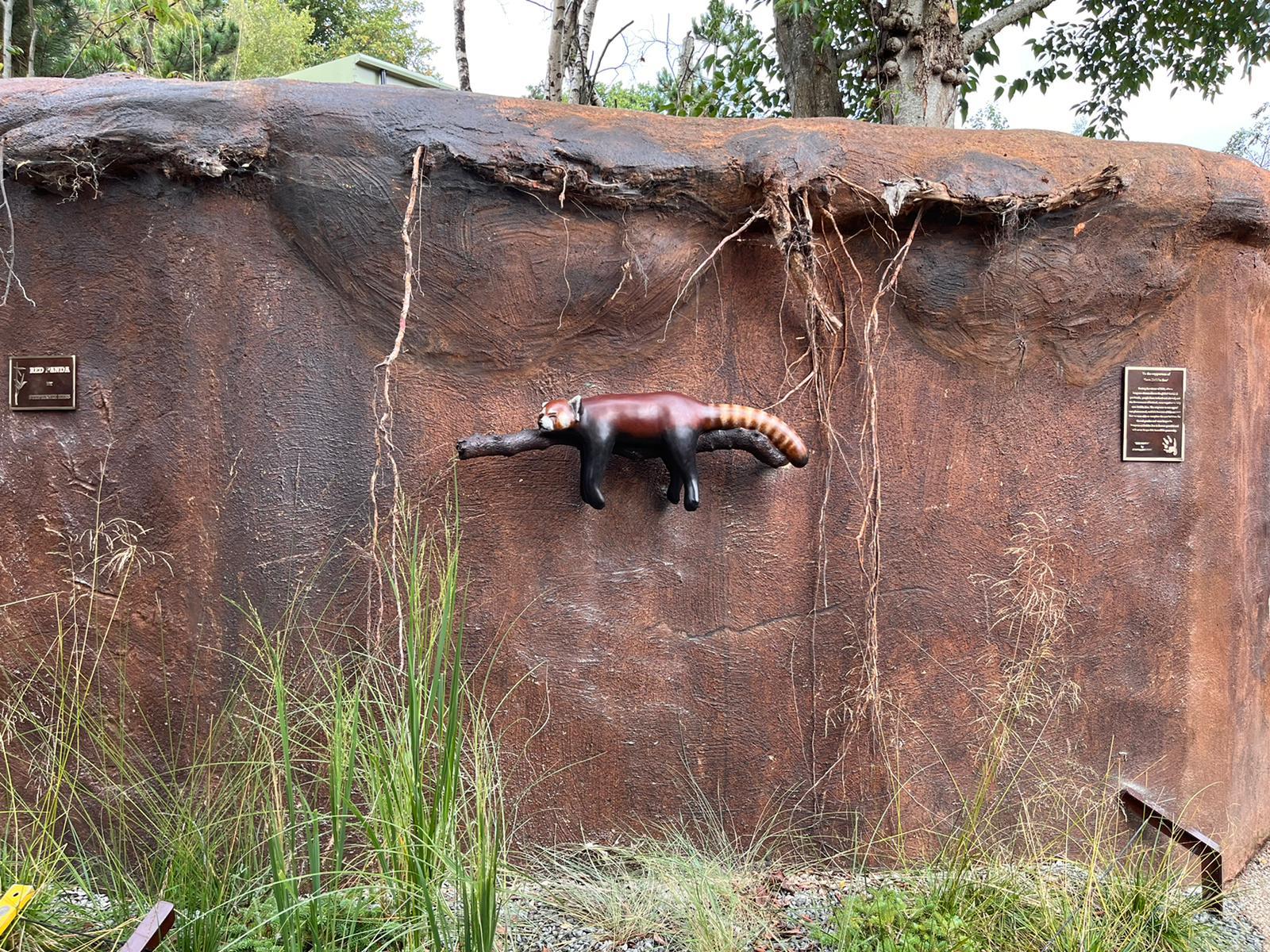 Red Panda Sculpture Unveiled - Dublin Zoo