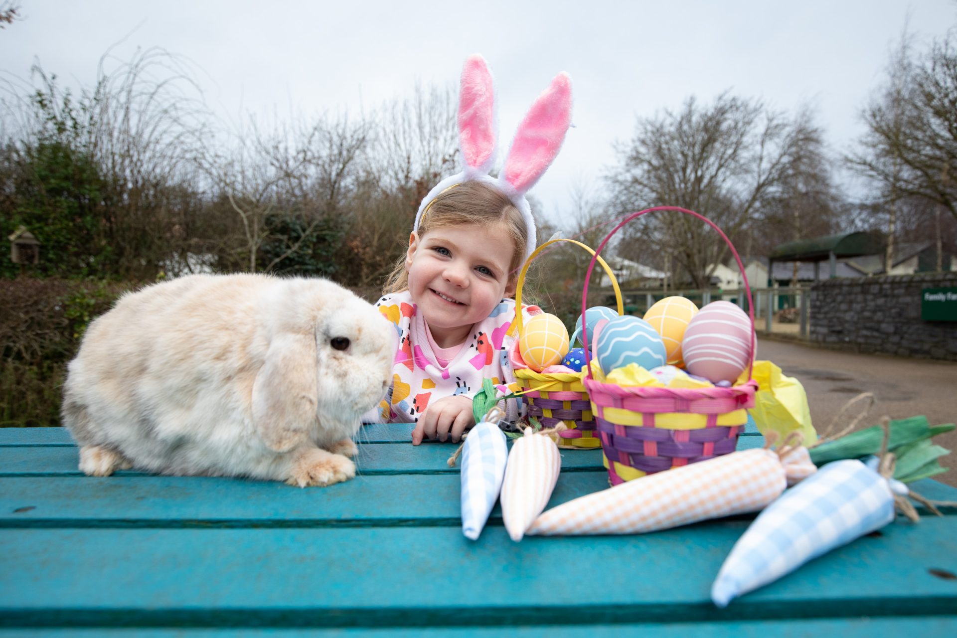 Easter Egg-stravaganza at Dublin Zoo! - Dublin Zoo