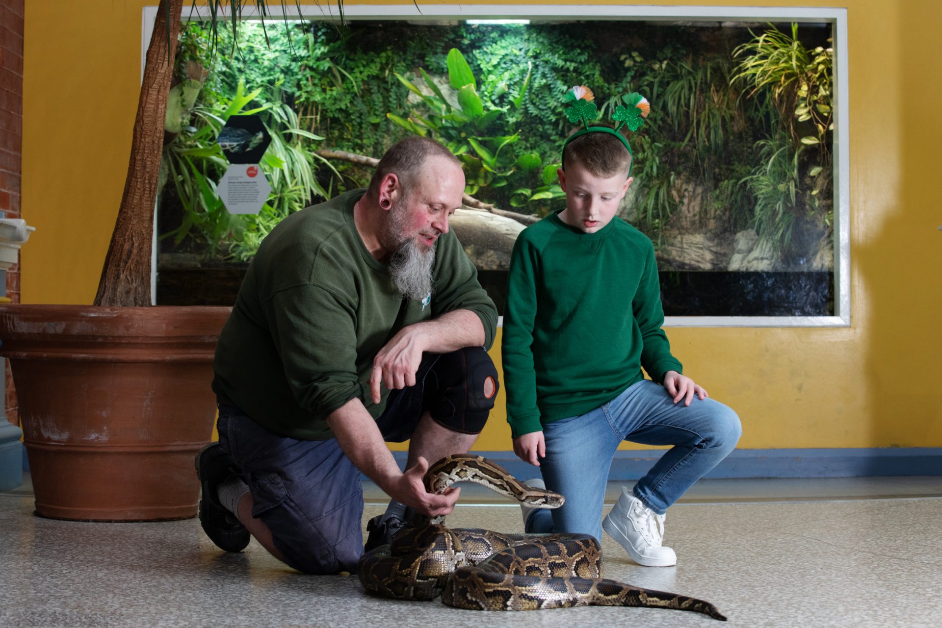 Slither down to Dublin Zoo to celebrate St. Patrick's Day! - Dublin Zoo