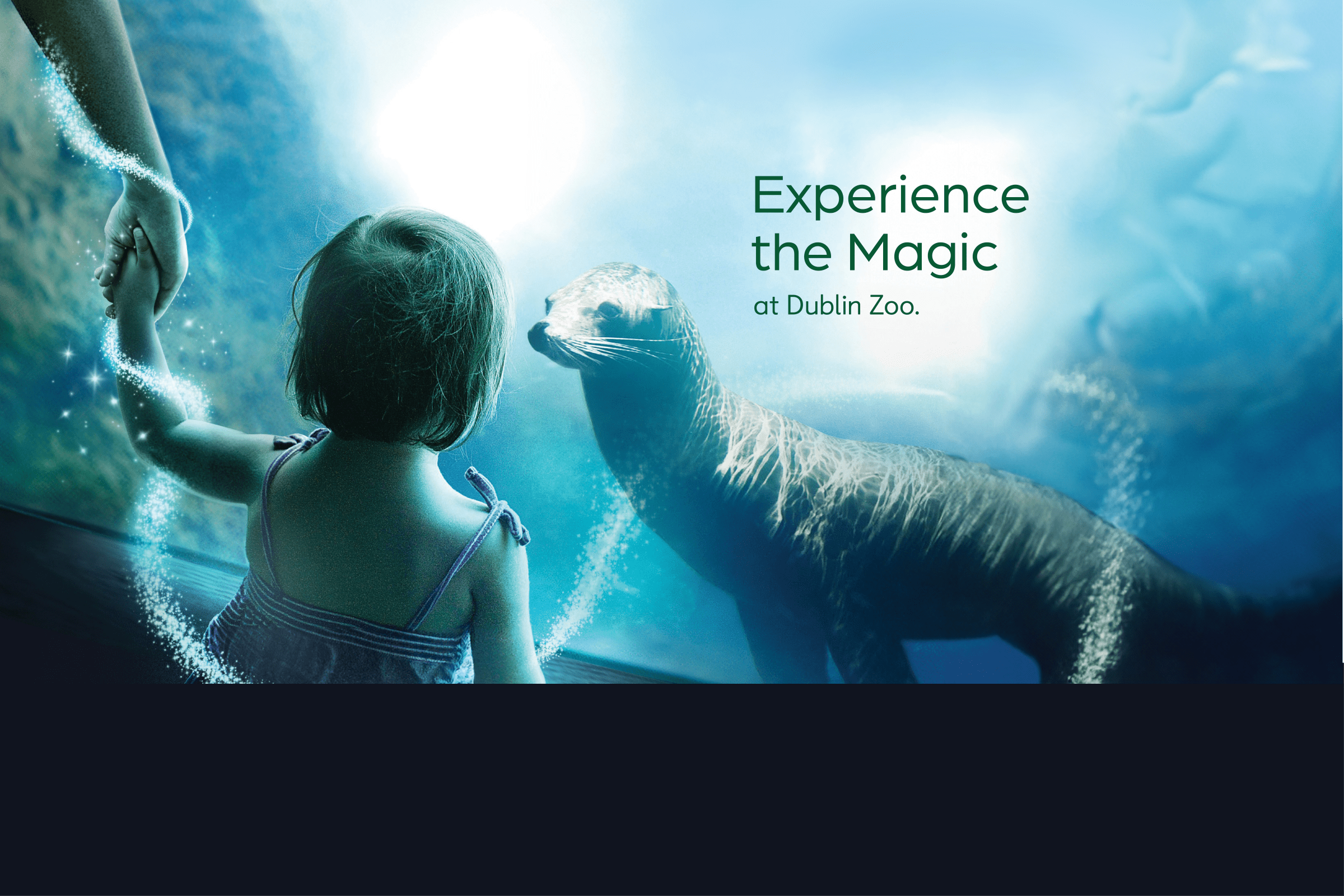 Dublin Zoo - One of The Most Popular Attractions in Ireland