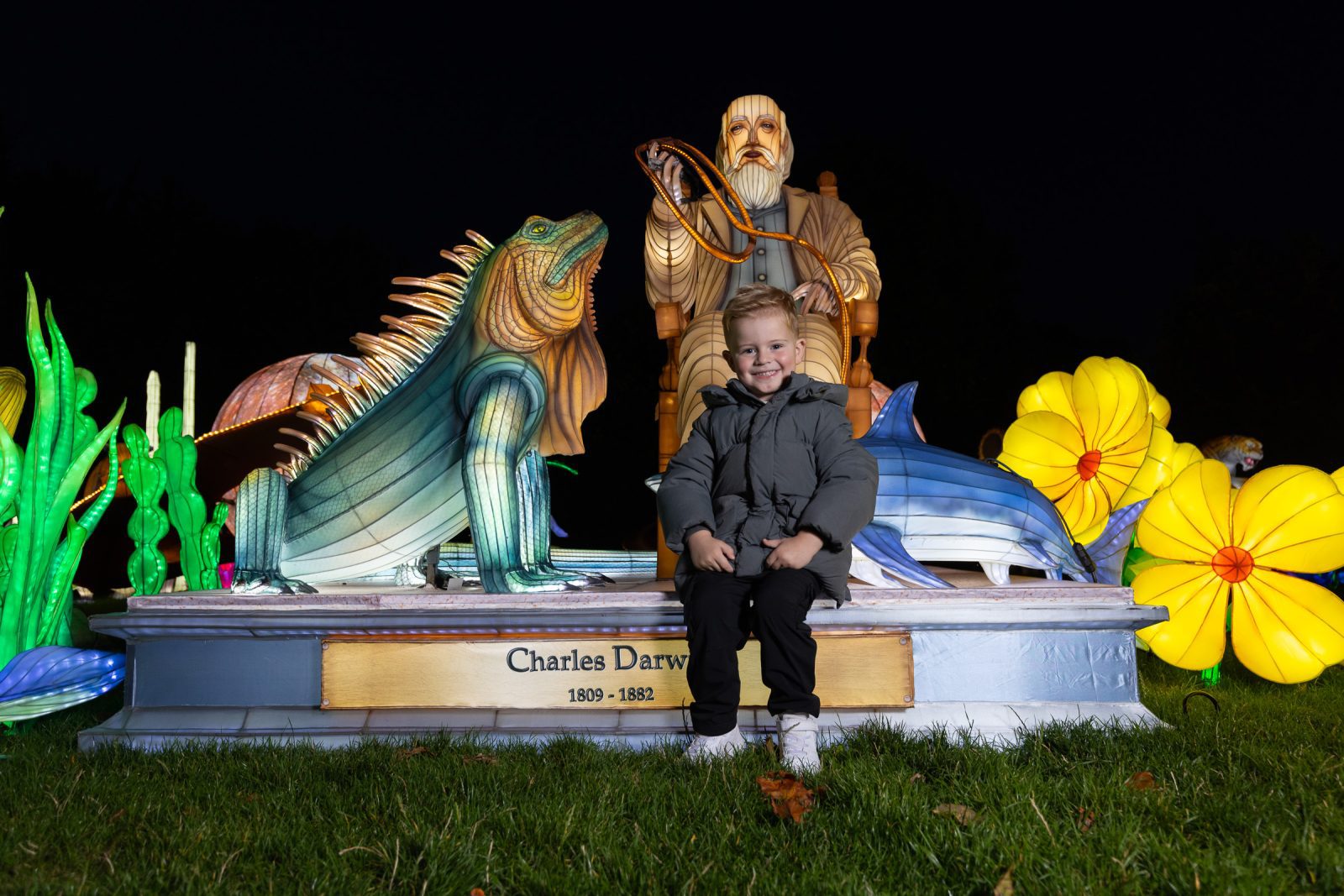 Embark on ‘A Journey Through Time’ as Wild Lights Returns to Dublin Zoo ...