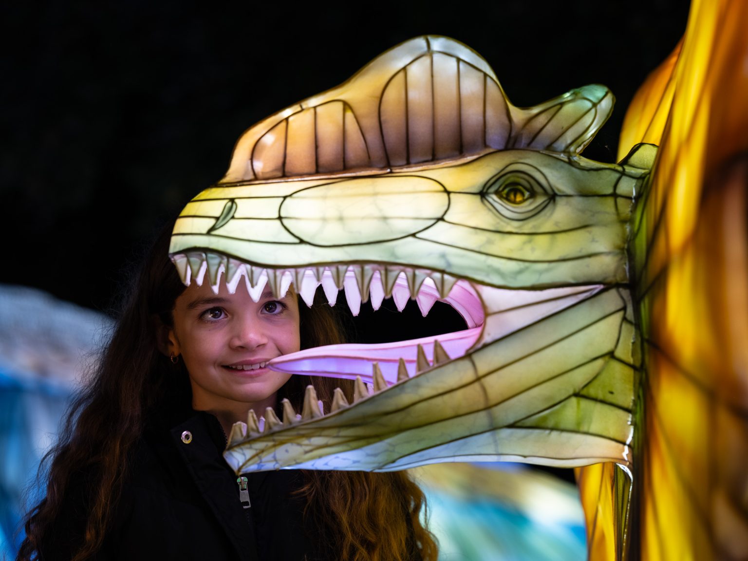 Embark on ‘A Journey Through Time’ as Wild Lights Returns to Dublin Zoo ...