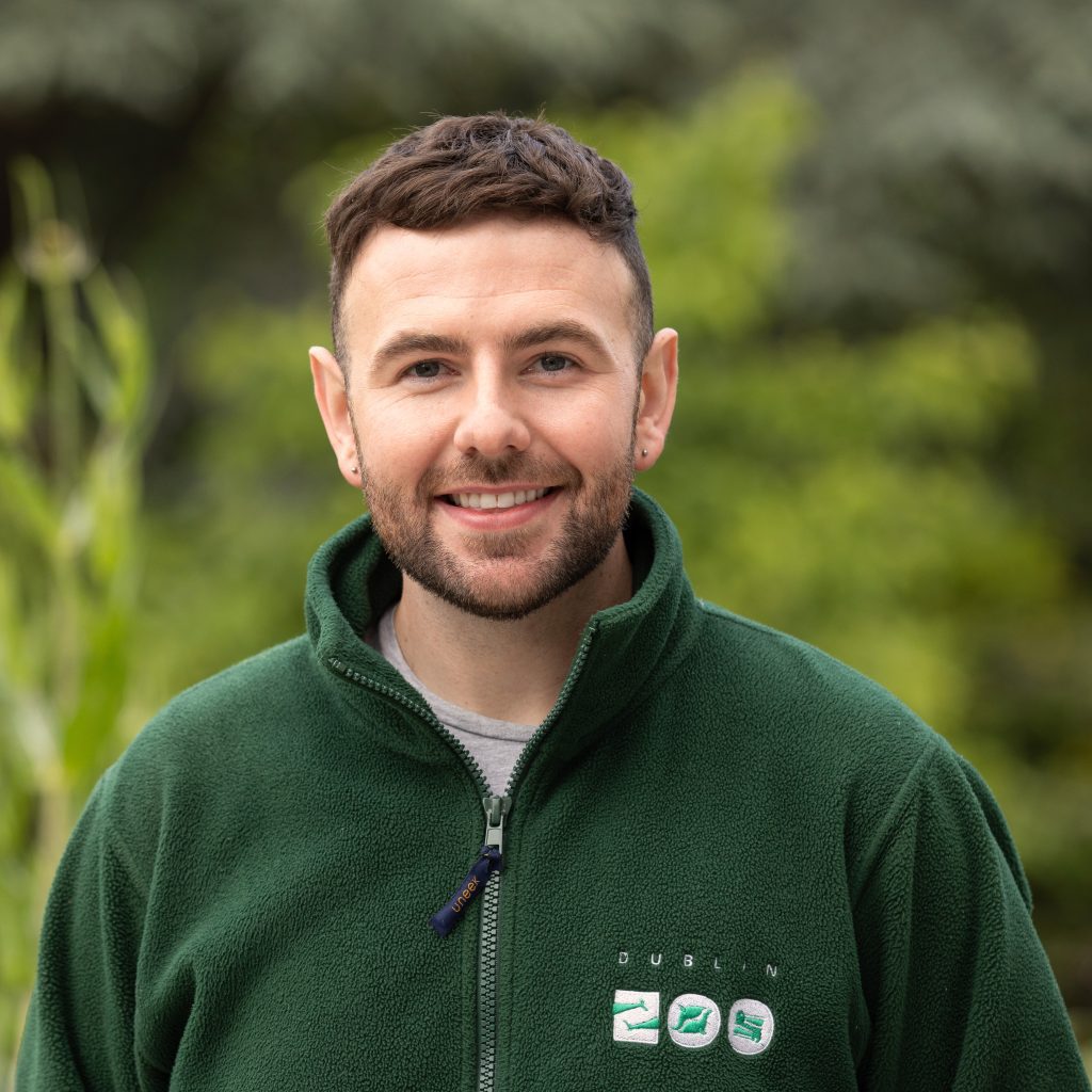 Inspiring Change, Saving Wildlife - Dublin Zoo Honoured at 2025 BIAZA ...