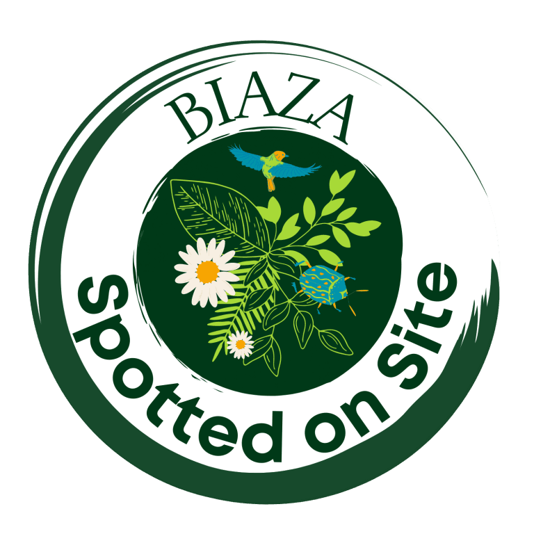 Native Species Spotted on Site at Dublin Zoo - Dublin Zoo