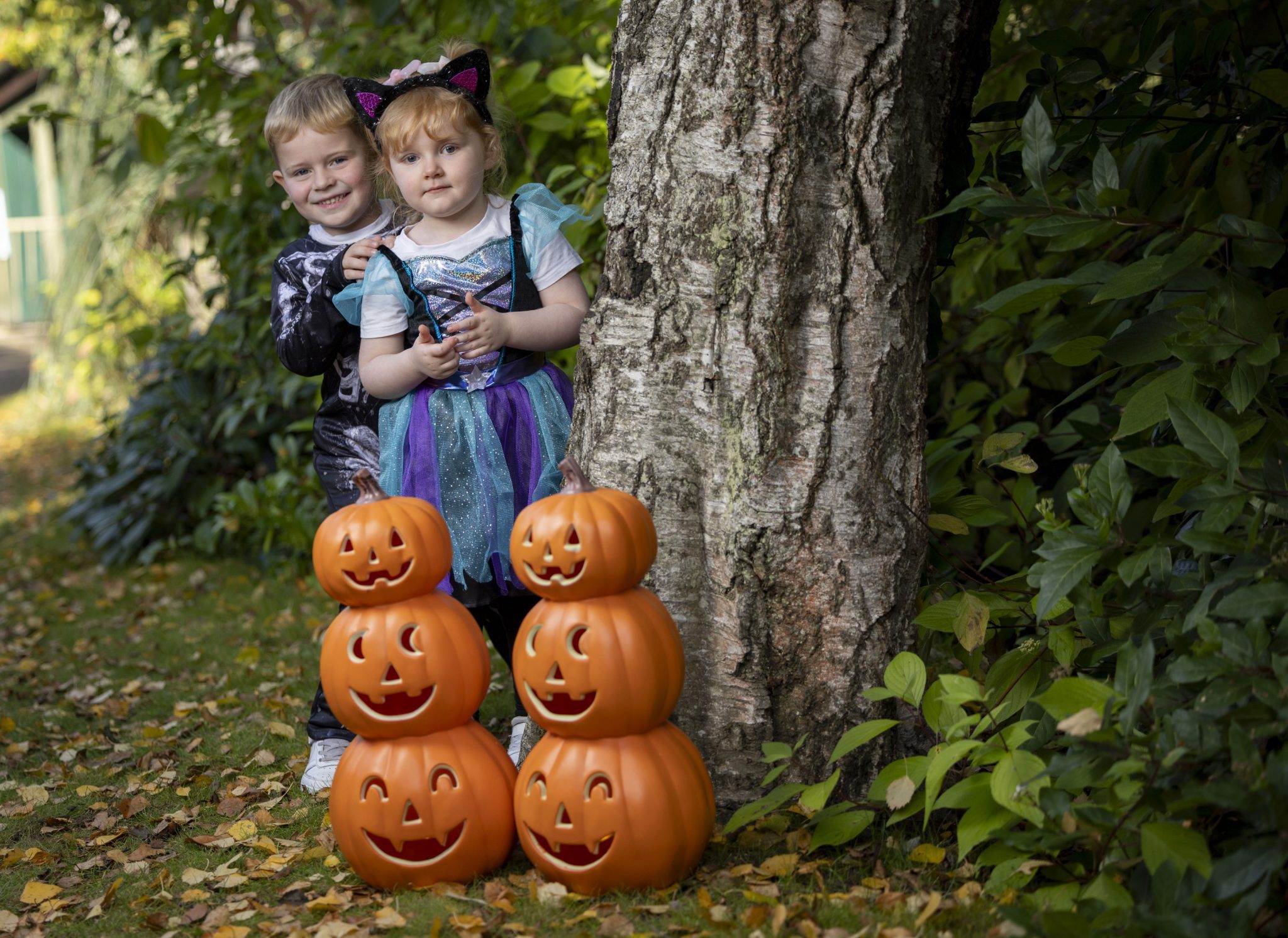 Boo at the Zoo: Spooktacular Halloween Celebrations at Dublin Zoo ...