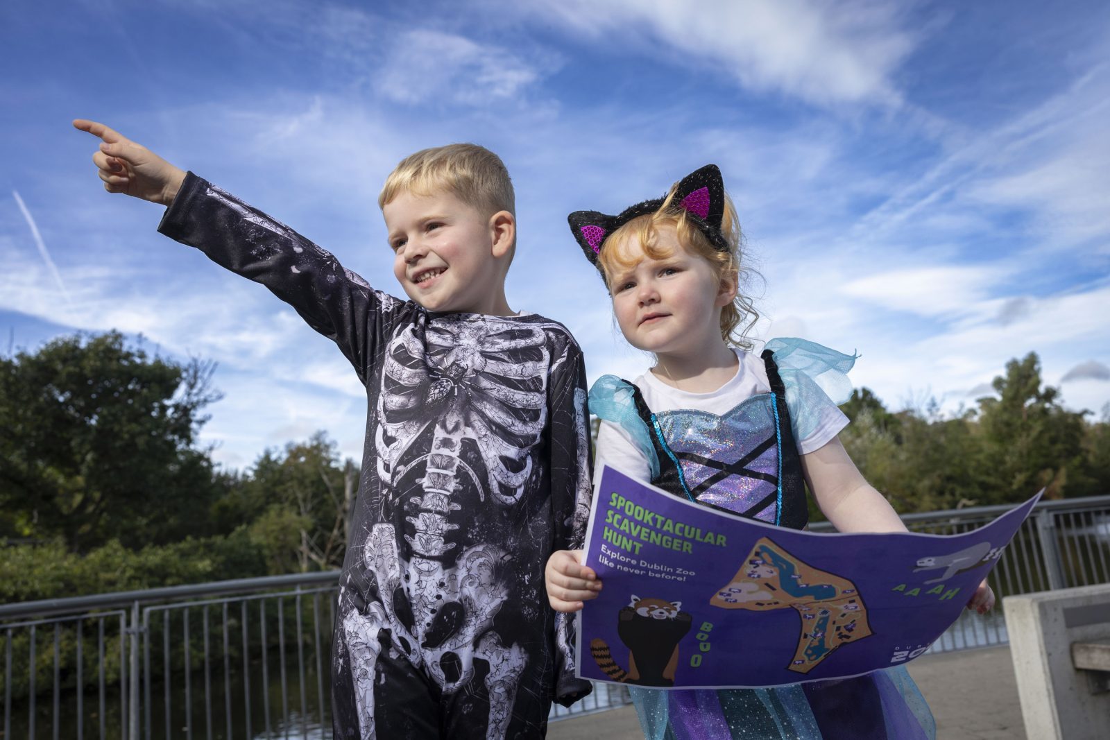 Boo at the Zoo: Spooktacular Halloween Celebrations at Dublin Zoo ...