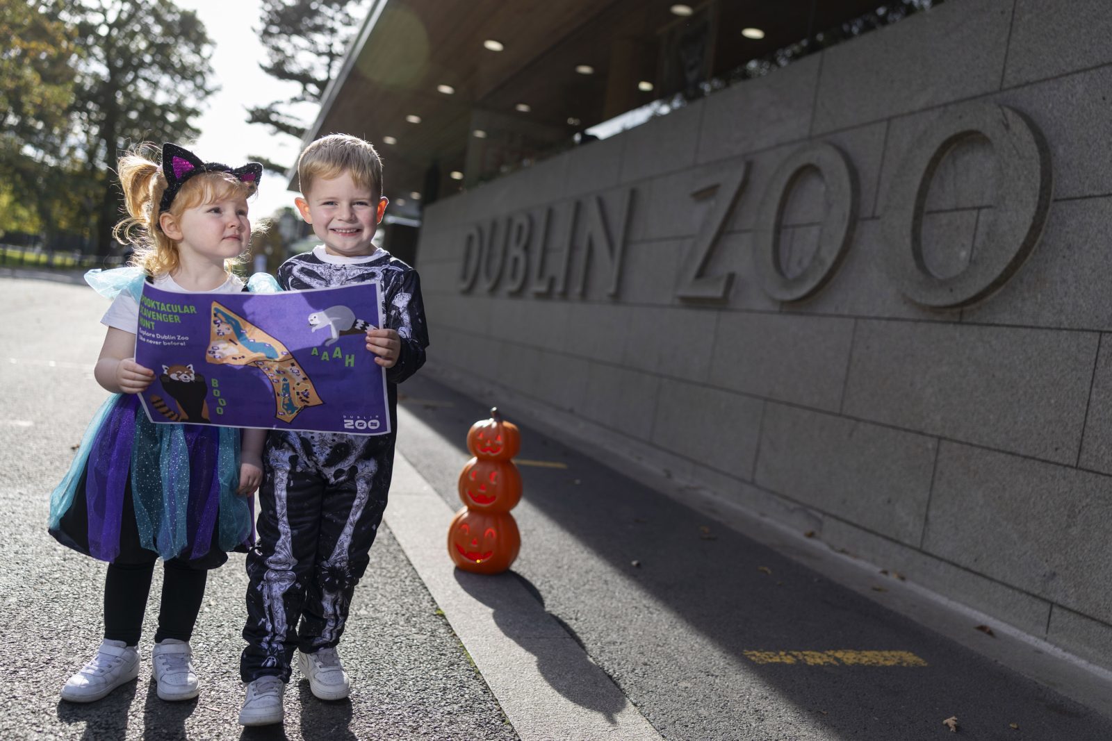 Boo at the Zoo: Spooktacular Halloween Celebrations at Dublin Zoo ...