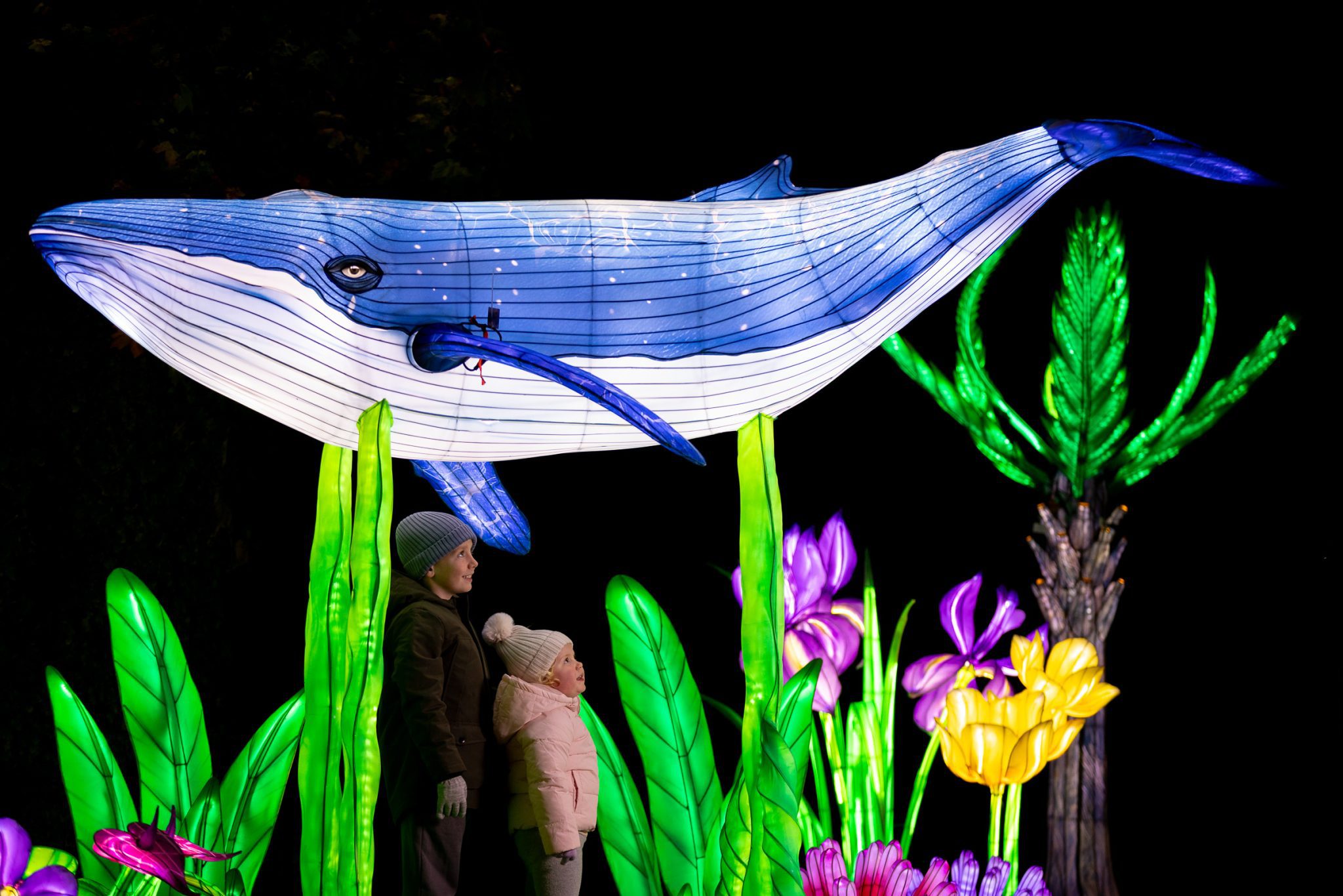 Dublin Zoo's Wild Lights 2025 - The Wild Kaleidoscope - Dublin Zoo