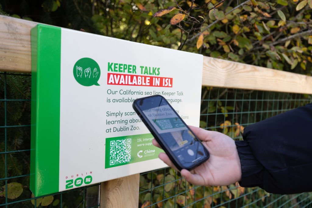 Southern white rhino ISL Keeper Talk - Dublin Zoo