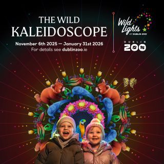Wild Lights - Dublin Zoo