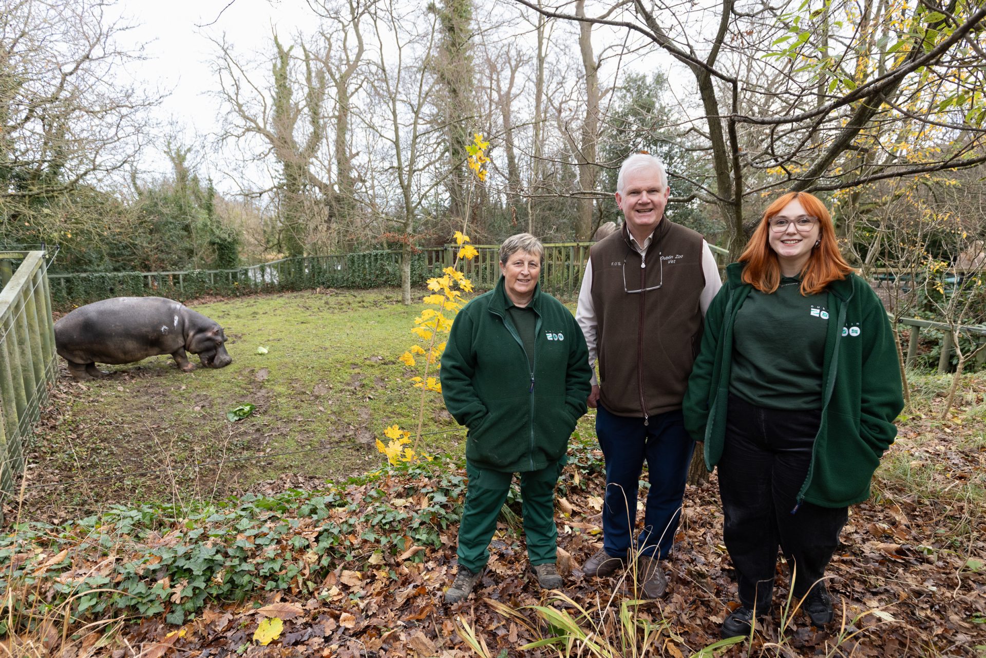 Imani the hippo undergoes historic cataract surgery at Dublin Zoo ...